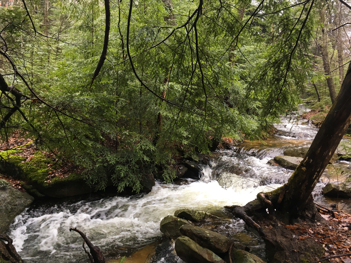 A weekend in Quehanna, part 1. – helena kotala