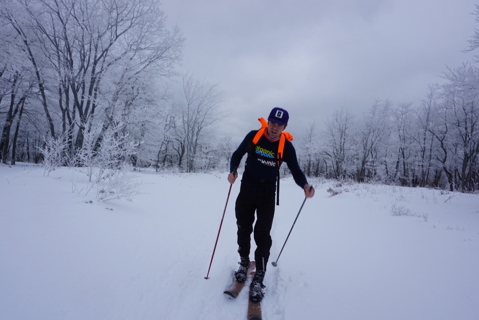 Altai Hok skis in the Pennsylvania backcountry. – helena kotala